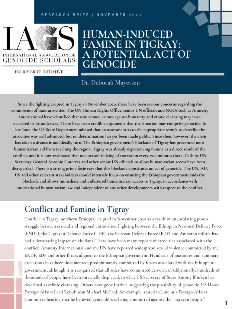 Human Induced Genocide - Tigray | PDF | Human Rights Abuses | International Relations