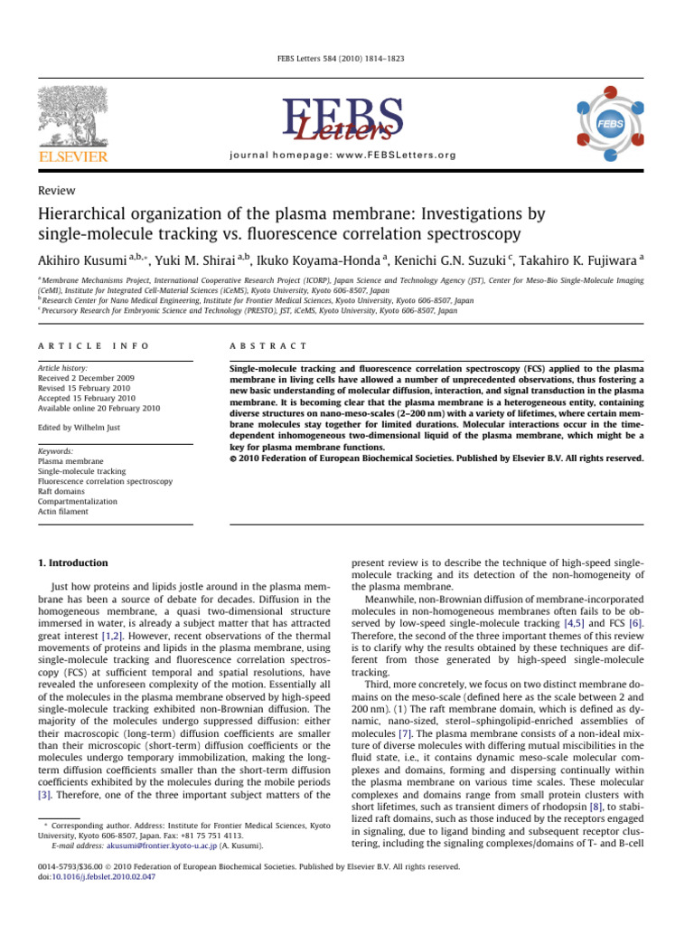 Hierarchical Organization of The Plasma Membrane Investigations 2010 ...