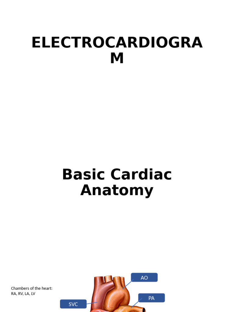 Cardiac Anatomy and Conduction System | PDF | Heart | Action Potential