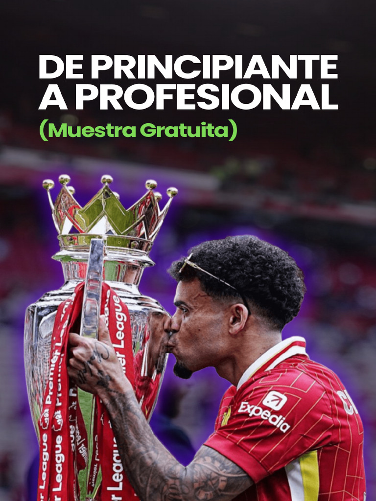 De Principiante A Profesional PDF | PDF