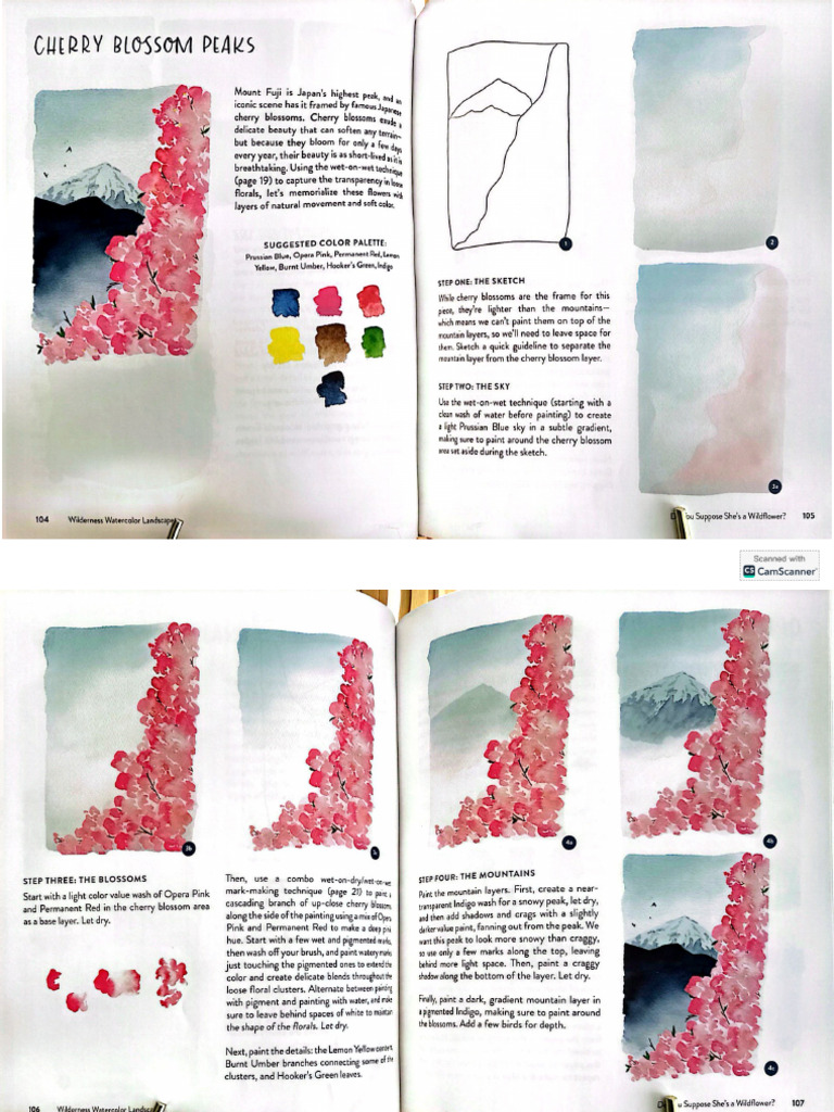 Watercolor Book Copies | PDF