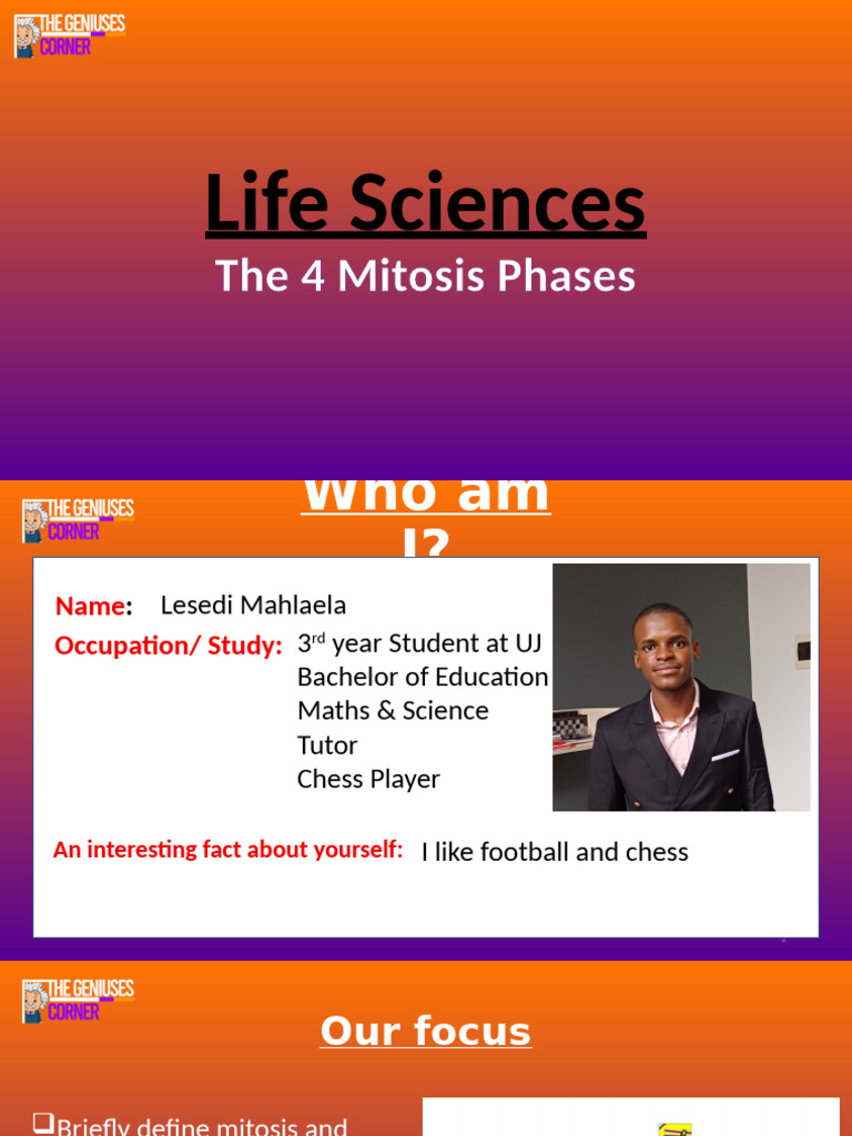 Intro - Grade 10 Life Science - The 4 Mitosis Phases | PDF | Mitosis ...