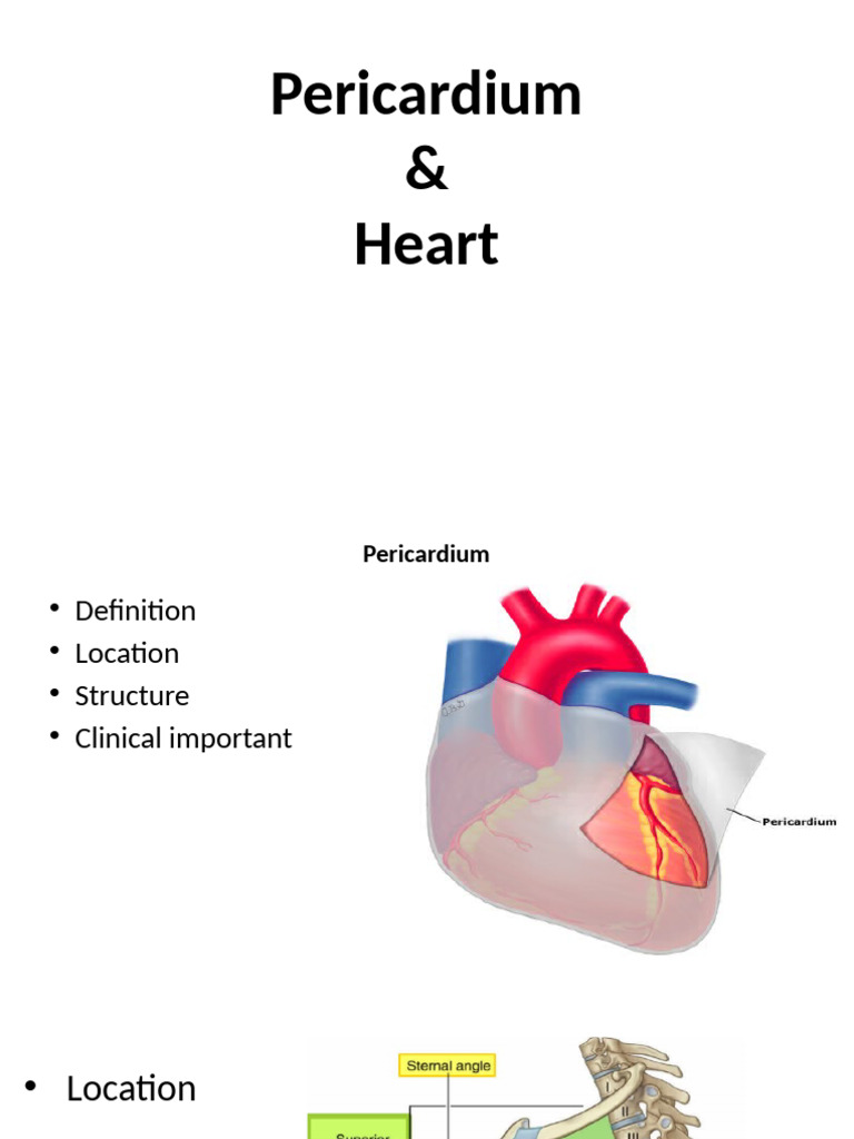 Pericardium | PDF