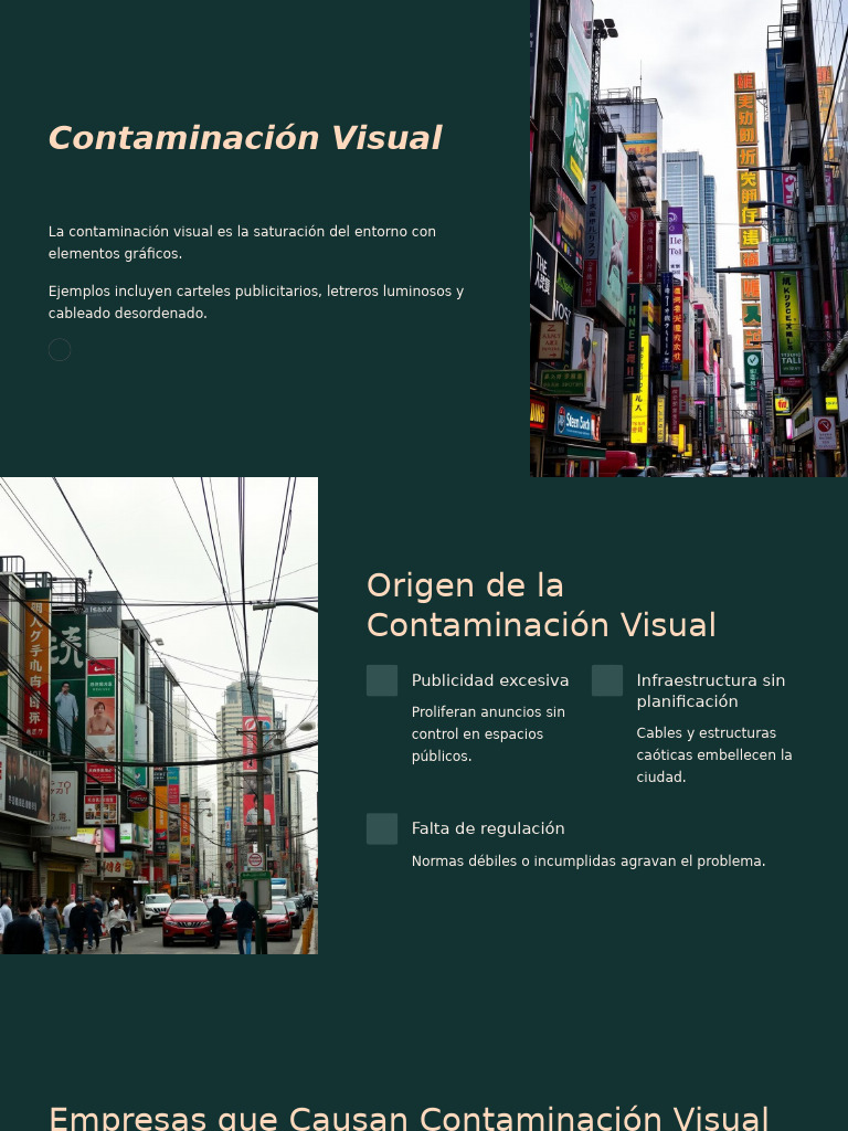 Contaminacion Visual | PDF