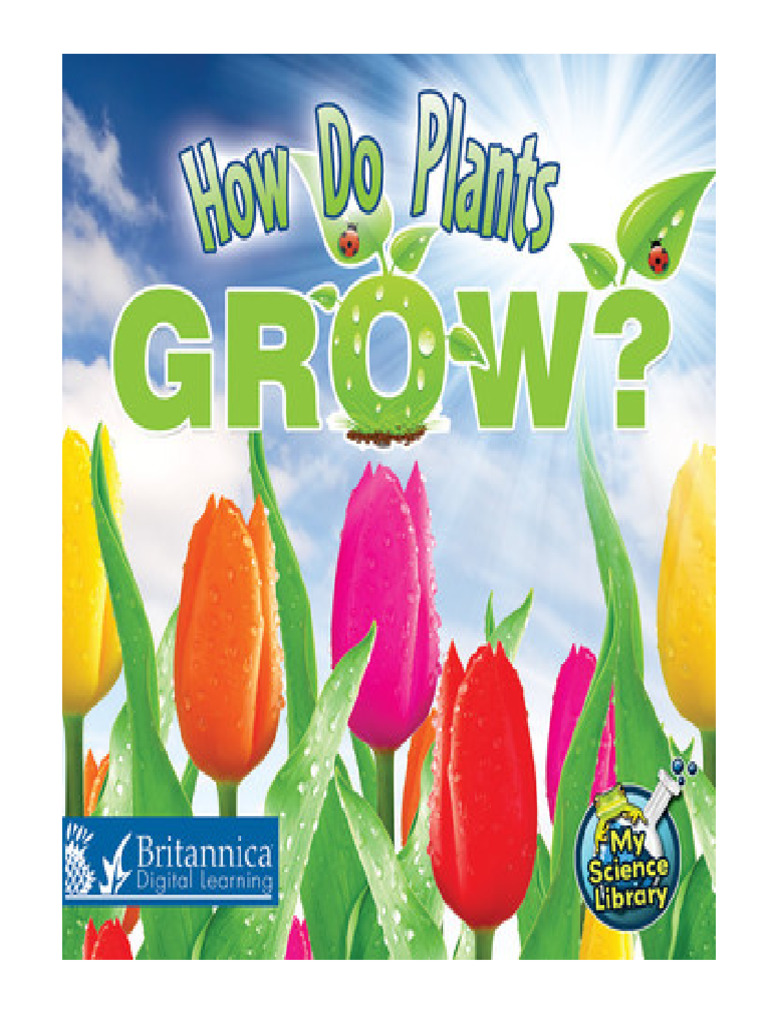 How Do Plants Grow? | PDF | E Reader