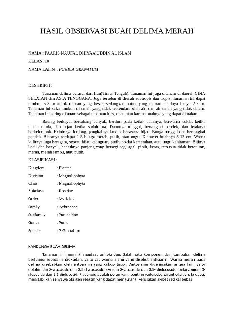Hasil Observasi Buah Delima Merah | PDF