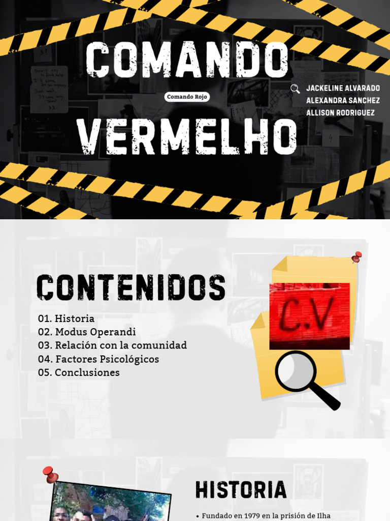 comando r | PDF