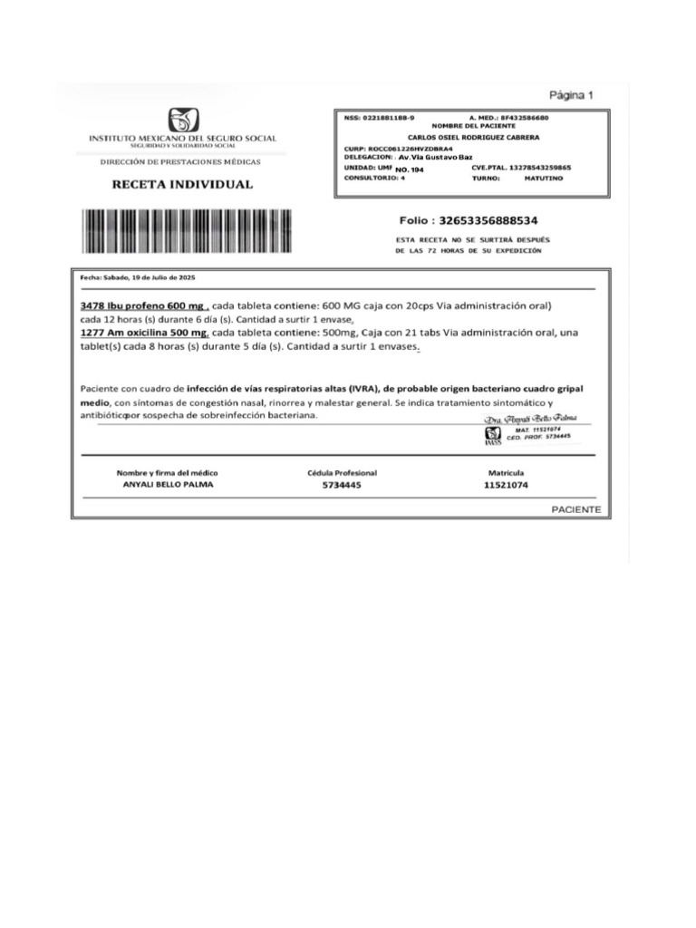 Receta Imss | PDF