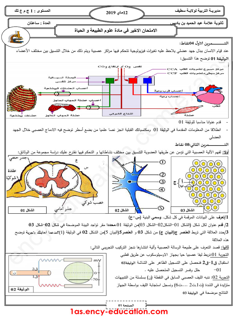 1as Sciences 1 | PDF