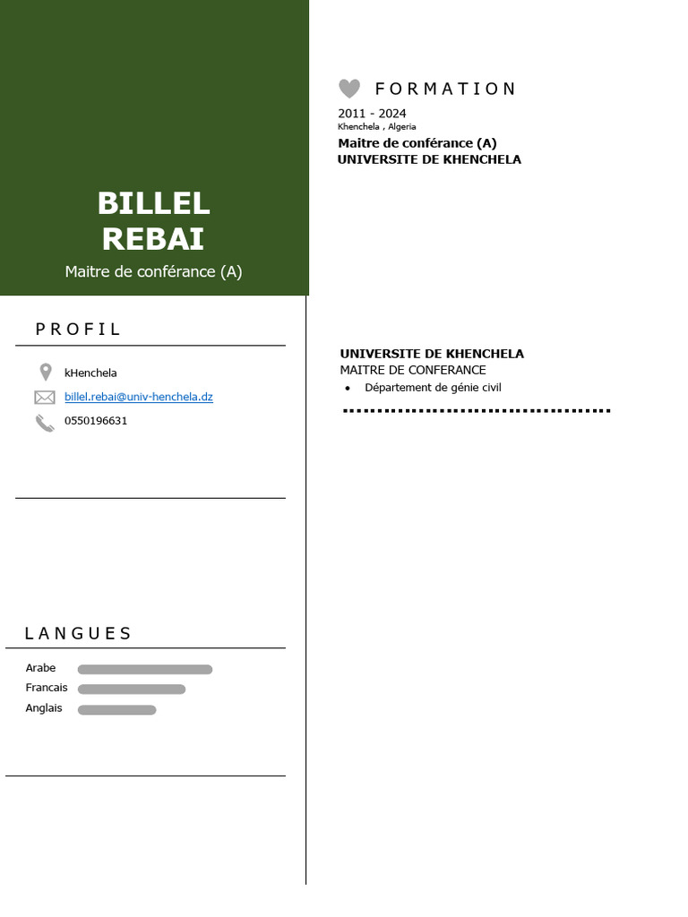 Modele CV Langue Francais Billel Rebai | PDF