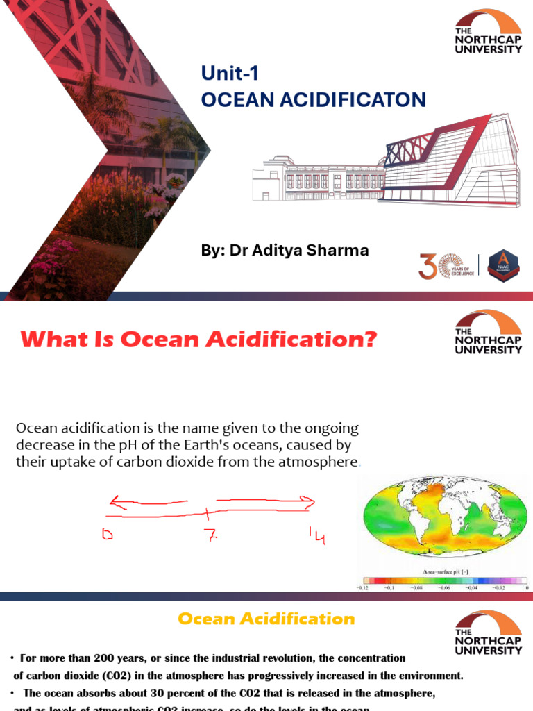 Understanding Ocean Acidification Effects | PDF | Ocean Acidification ...