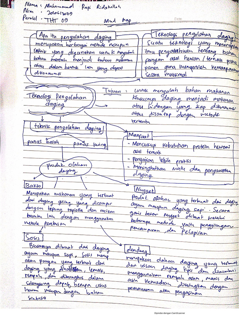 Mind Map 6 | PDF