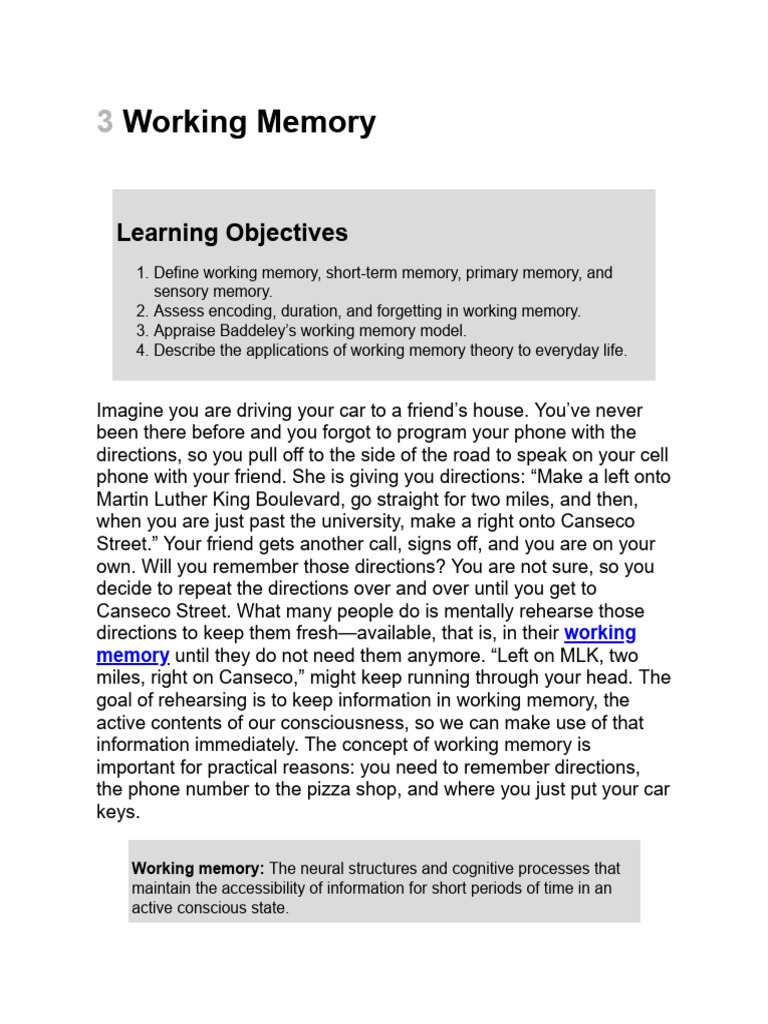 Understanding Working Memory Concepts | PDF | Memory | Recall (Memory)