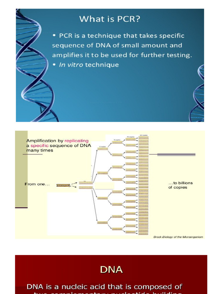 Laboratorium Diagnostiek (Autosaved) | PDF
