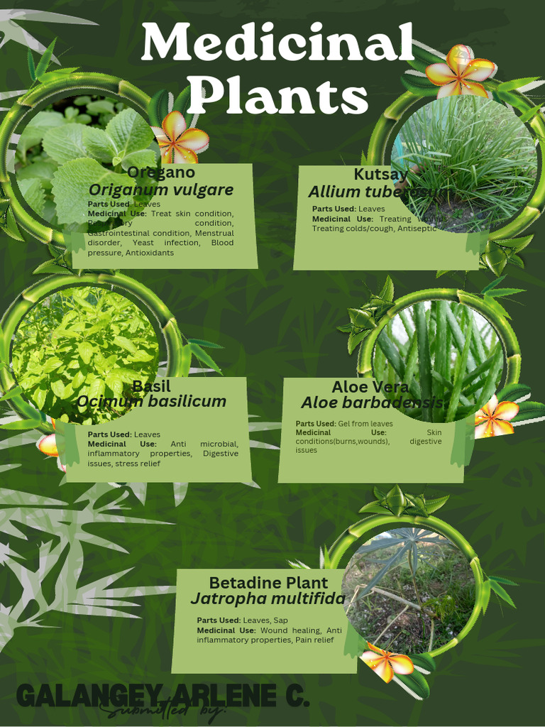 Medicinal Uses of Betadine and Kutsay | PDF
