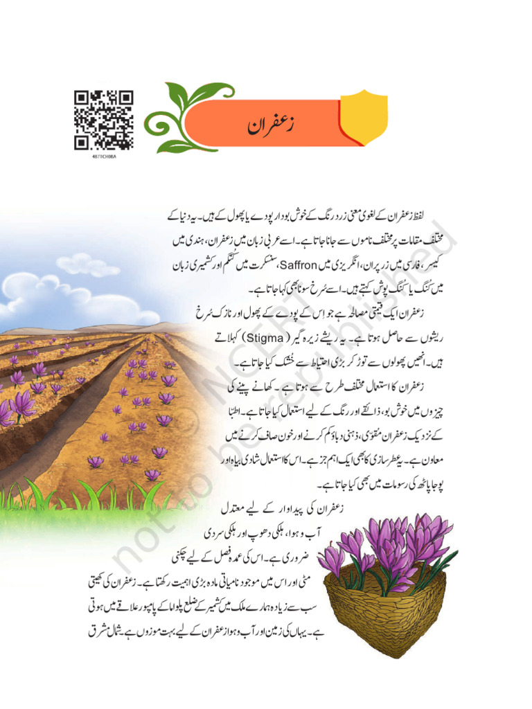 CBSE Class 8 Urdu Chapter10 | PDF