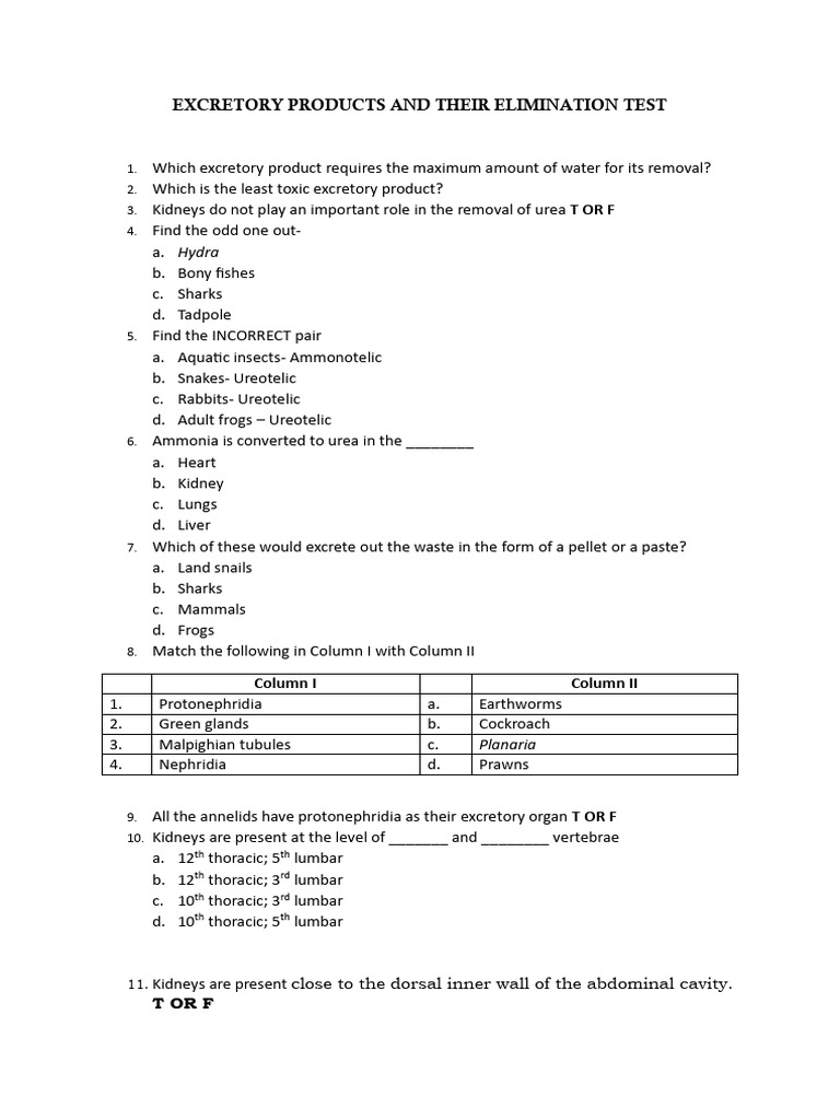 Excretory Products and Their Elimination Test | PDF | Kidney | Angiotensin