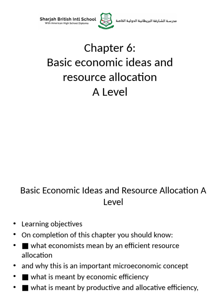 Economic Efficiency and Resource Allocation | PDF | Externality ...