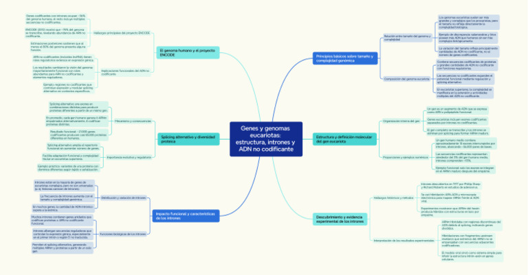 Genes y Genomas Eucariotas - Estructura, Intrones y ADN No Codificante ...