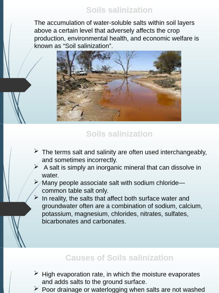 12 Salinity and Drainage | PDF | Drainage | Soil