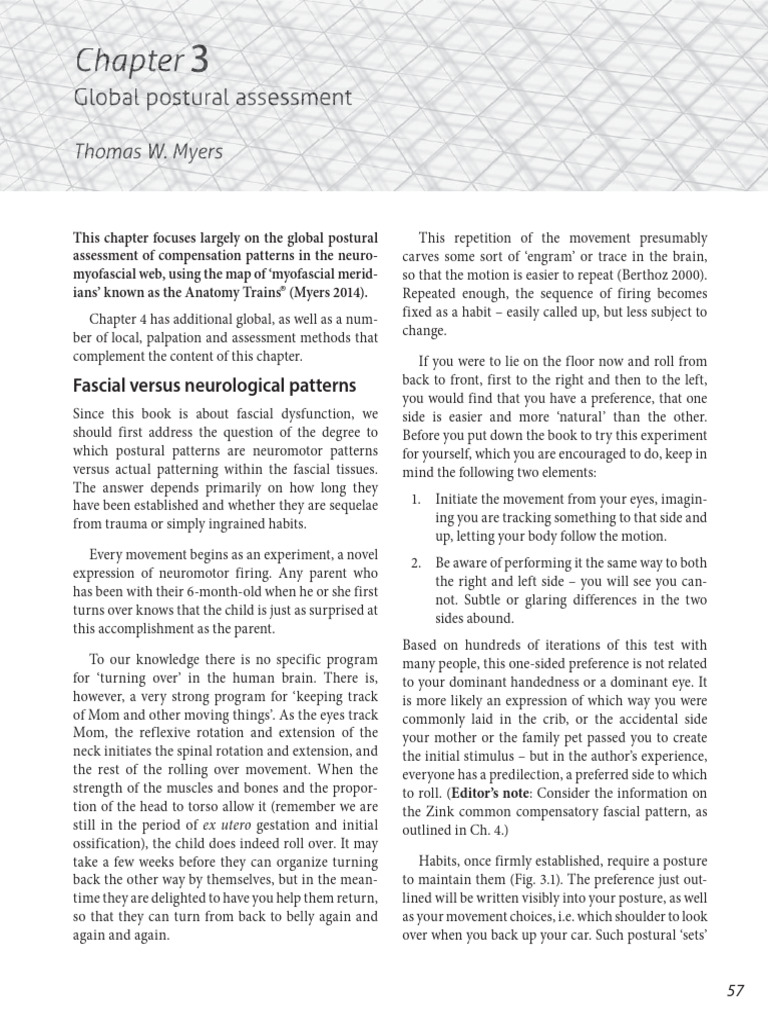 Global Postural Assessment of Fascia-28 | PDF | Extracellular Matrix ...