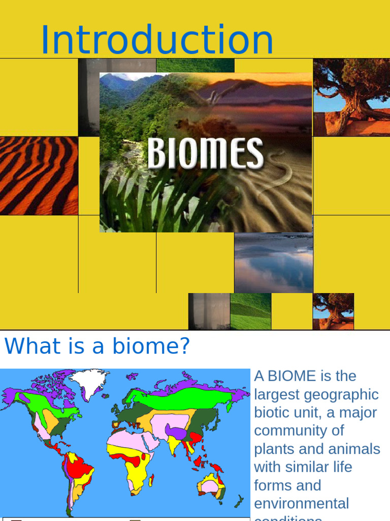 Lecture 3B Biomes Summer 14 | PDF | Ecosystem | Rain