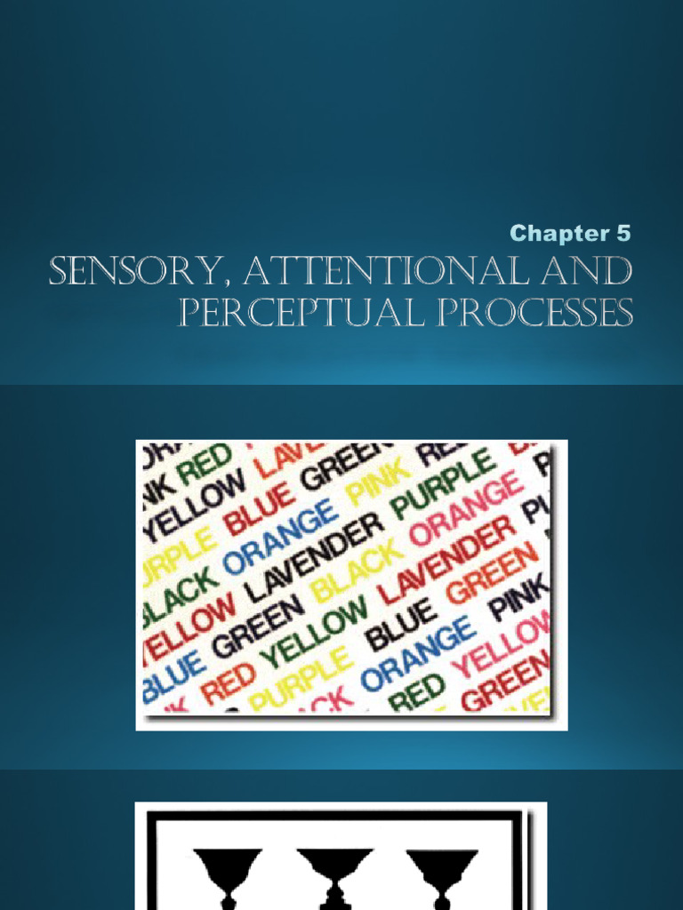 Chap 5 Sensory, Attentional and Perceptual Processes | PDF