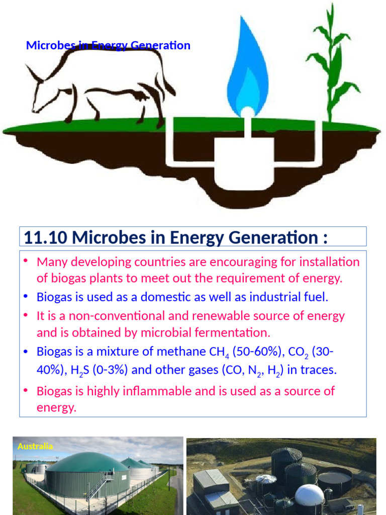11.10 Microbes in Energy Generation | PDF | Anaerobic Digestion | Biogas