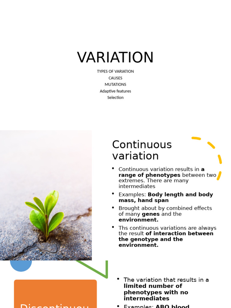Variation and Selection Slide | PDF | Natural Selection | Selective ...