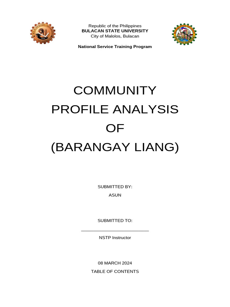 NSTP - Paper For Community Assessment | PDF