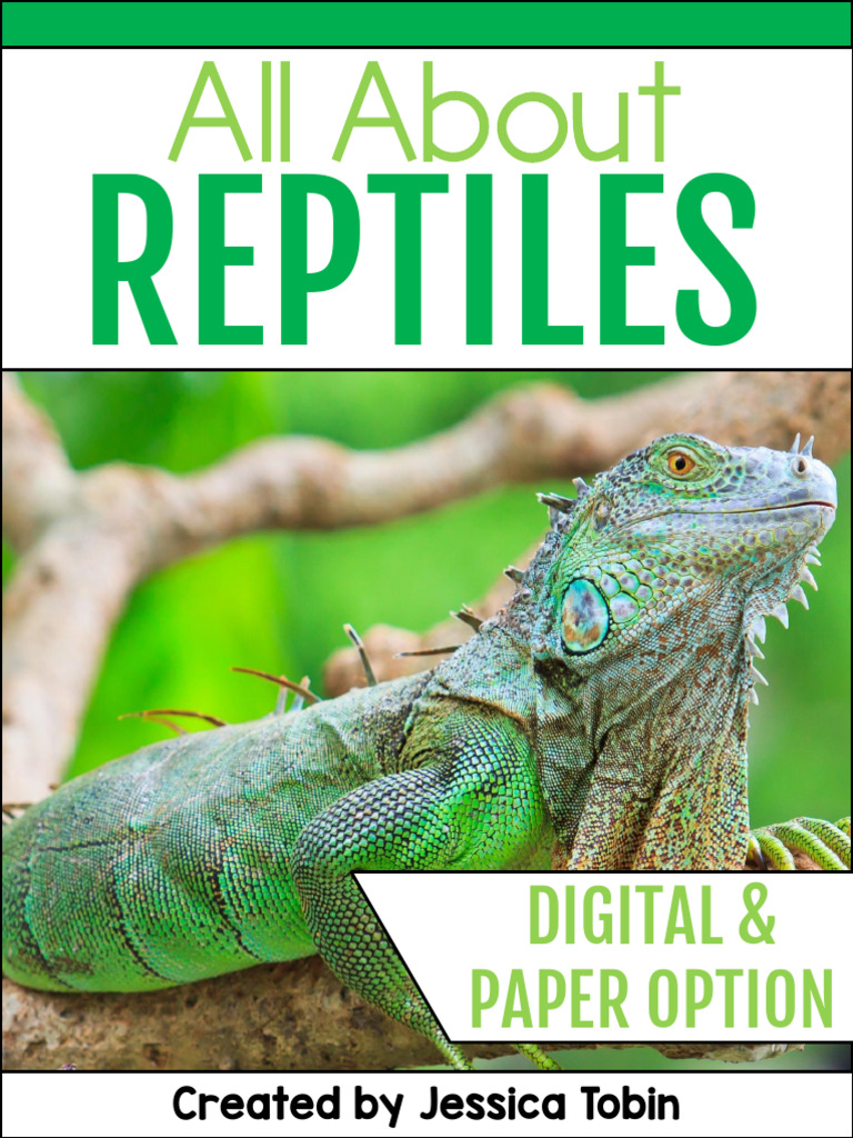 Comprehensive Guide to Reptiles | PDF | Crocodile | Turtle
