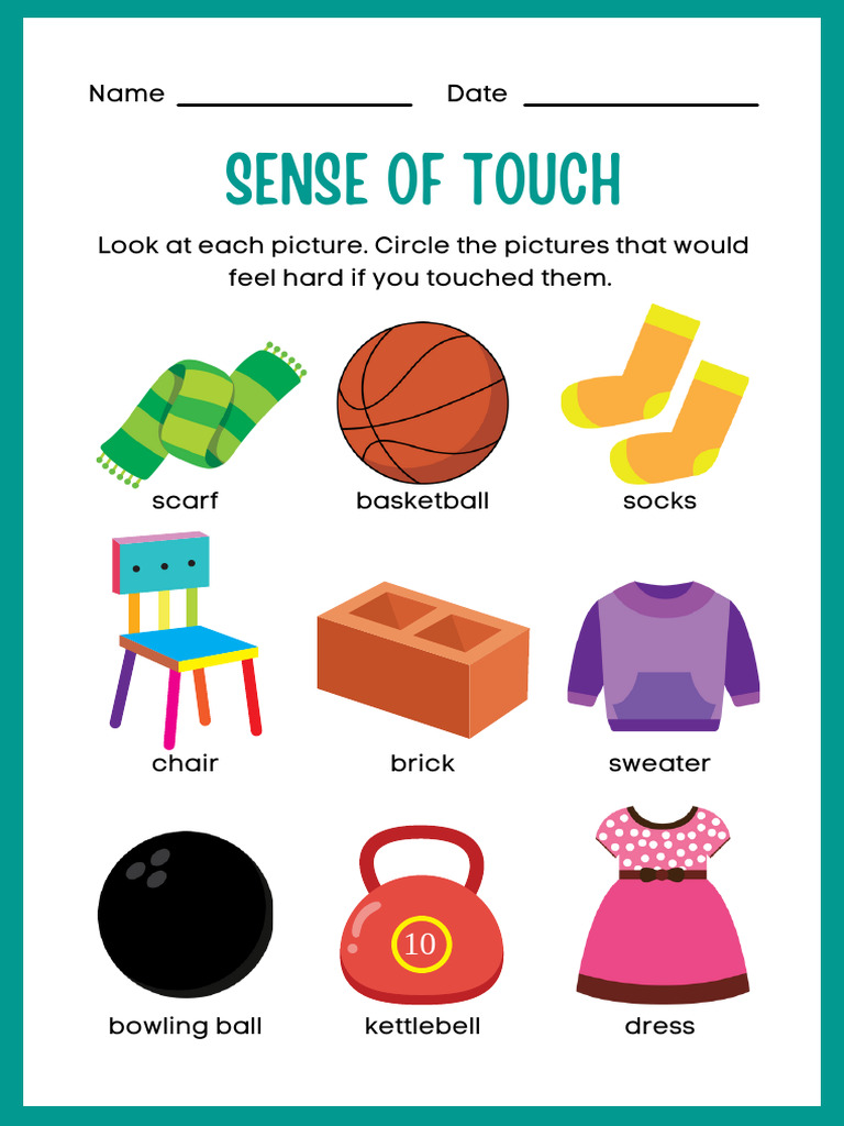 Sense of Touch Worksheet Activities | PDF