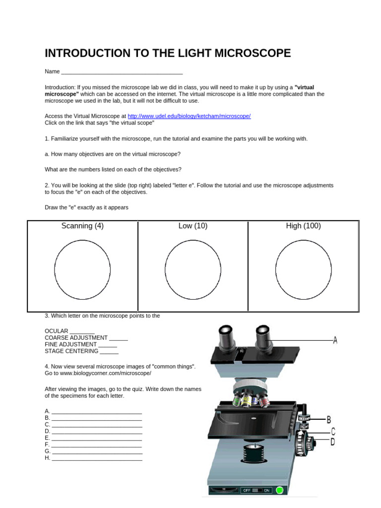 Introduction To The Light Microscope Virtual | PDF