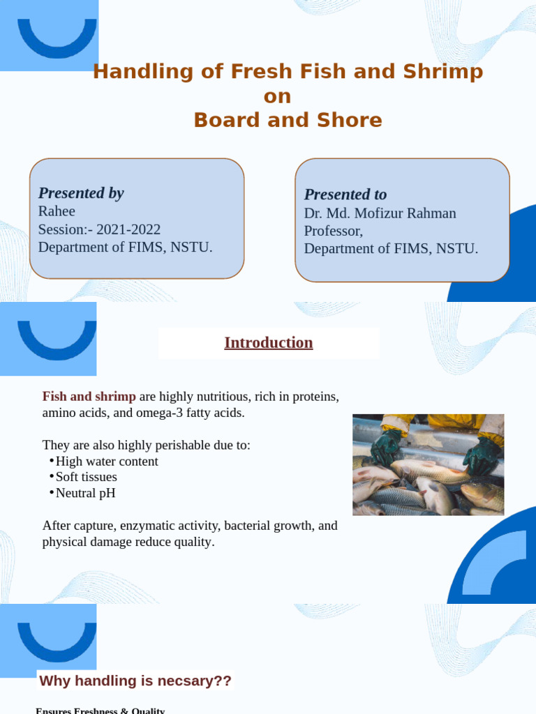 Fish and Shimp Handling On Board and On Shore | PDF | Water | Food Preservation