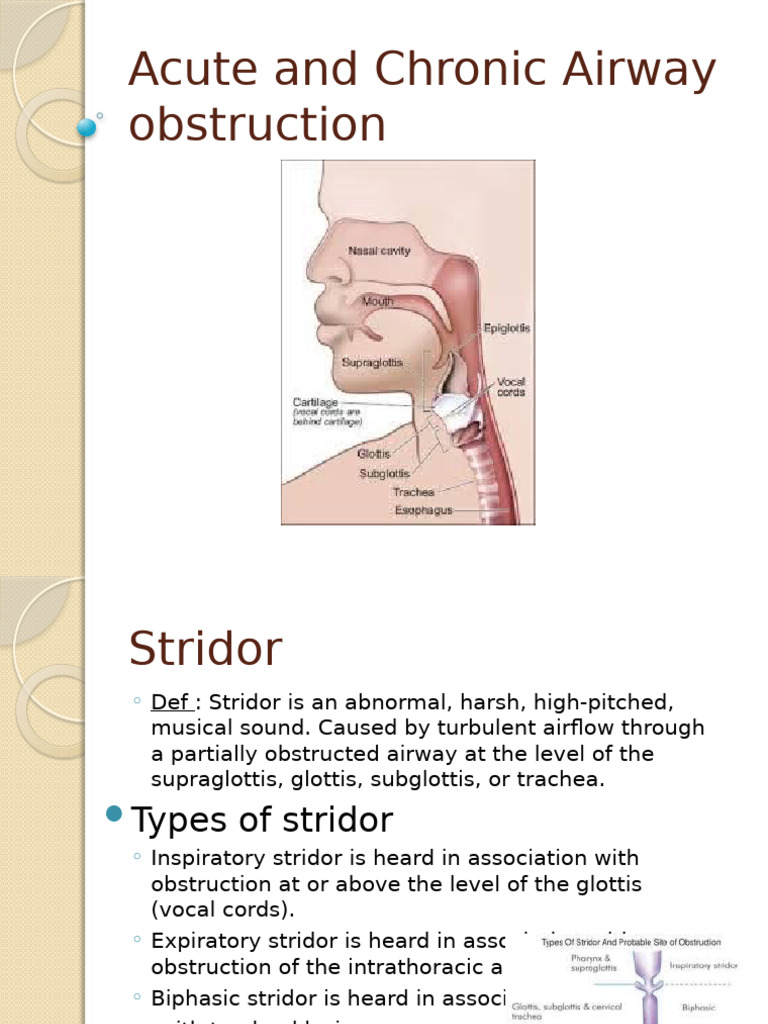 Acute and Chronic Airway Obstruction Edited | PDF | Larynx ...
