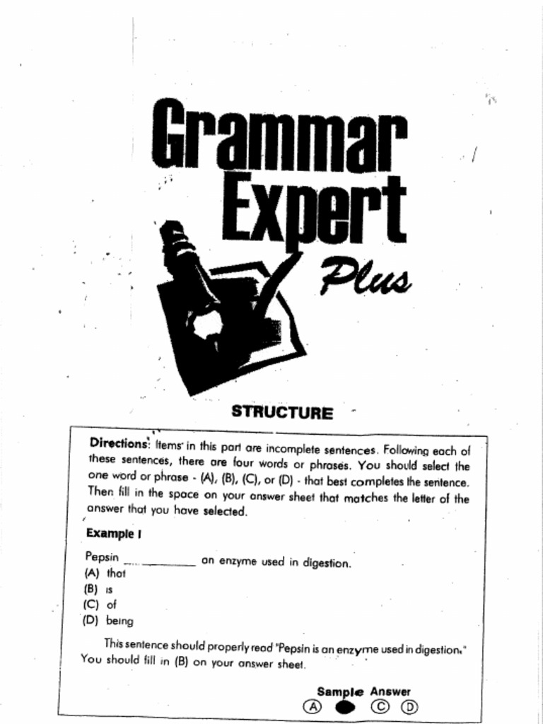 Grammar Expert | PDF