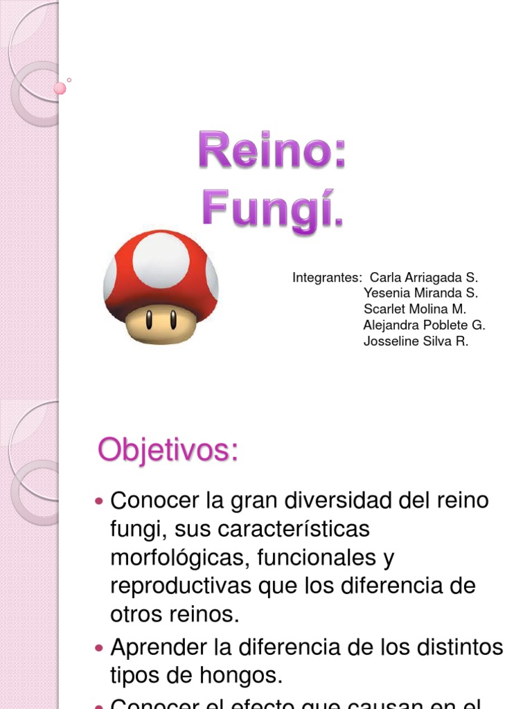 Reino Fungi | Descargar gratis PDF | Hongo | Plantas