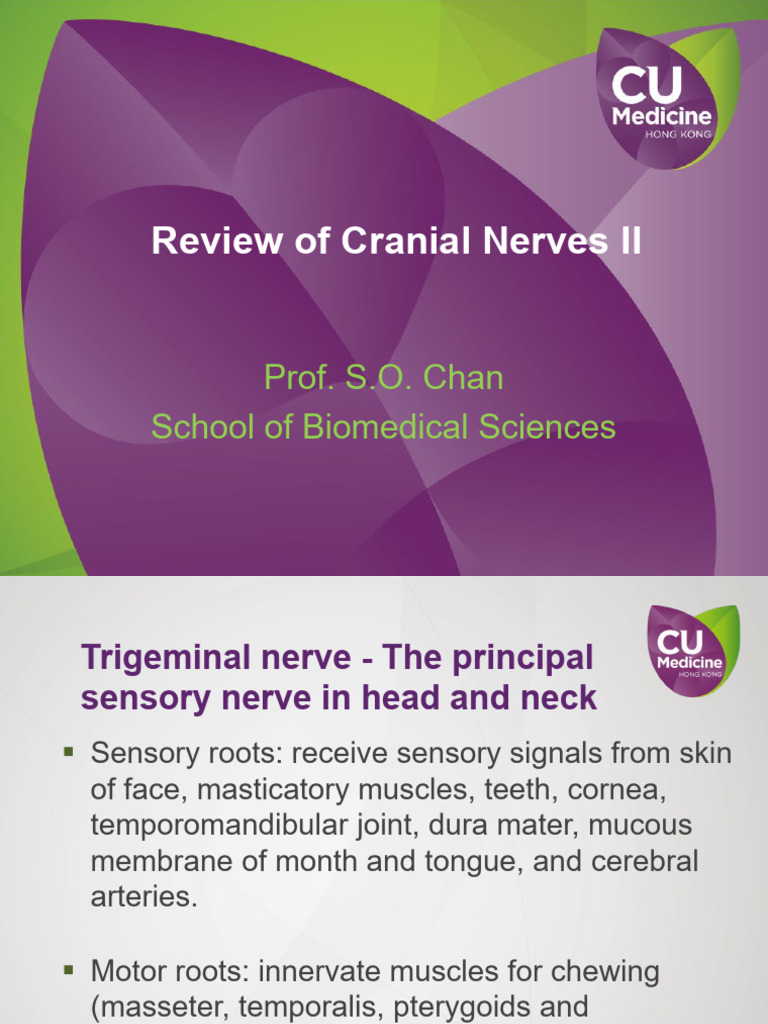 Review of Cranial Nerves II With Video | PDF | Vagus Nerve | Human Head ...