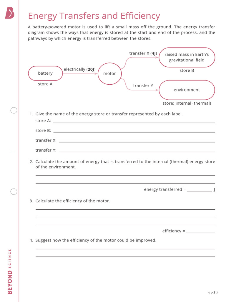 Energy Transfers and Efficiency Worksheet | PDF | Photosynthesis | Leaf