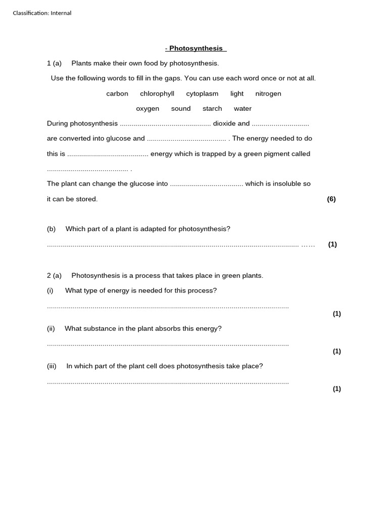 Understanding Photosynthesis Process | PDF | Photosynthesis | Plants