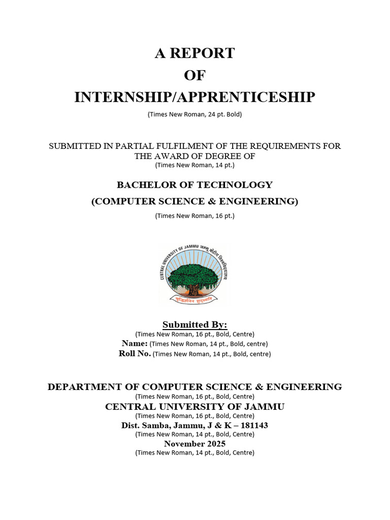 Internship Report: Computer Science Degree | PDF