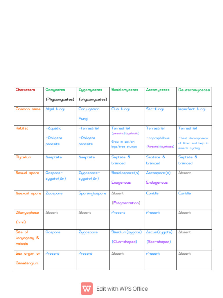Fungal Classification and Characteristics | PDF