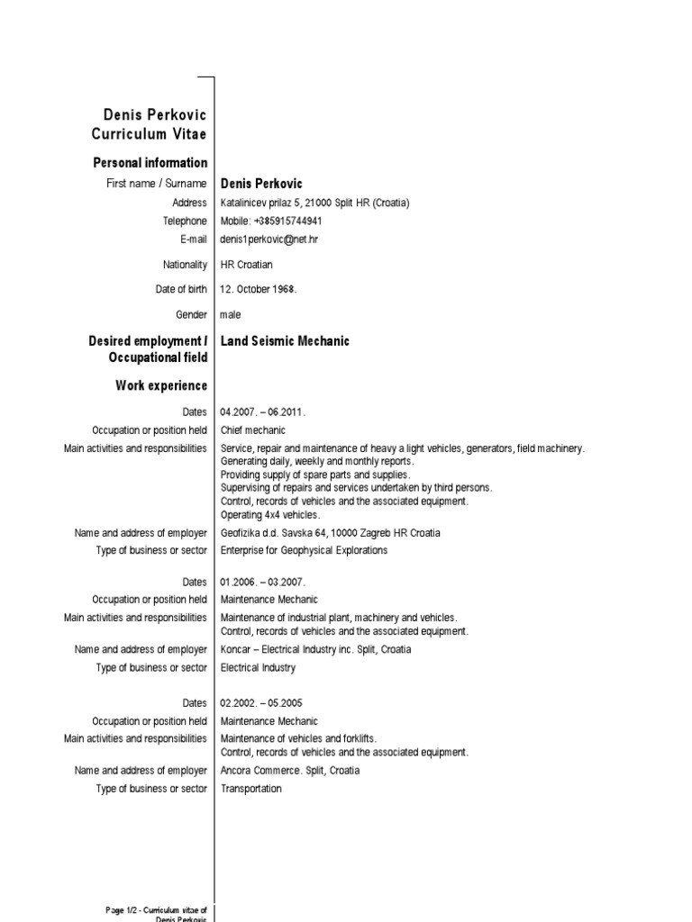 CV Denis Perkovic-1 | PDF | Croatia | Machines