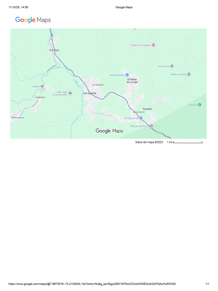Google Maps General | PDF
