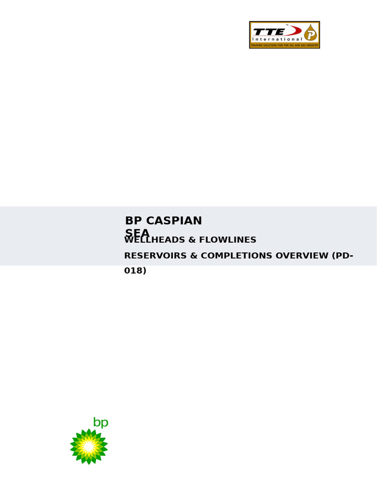 PD-018 Reservoirs and Completions Overview Rev 3 | PDF | Casing (Borehole) | Petroleum Reservoir