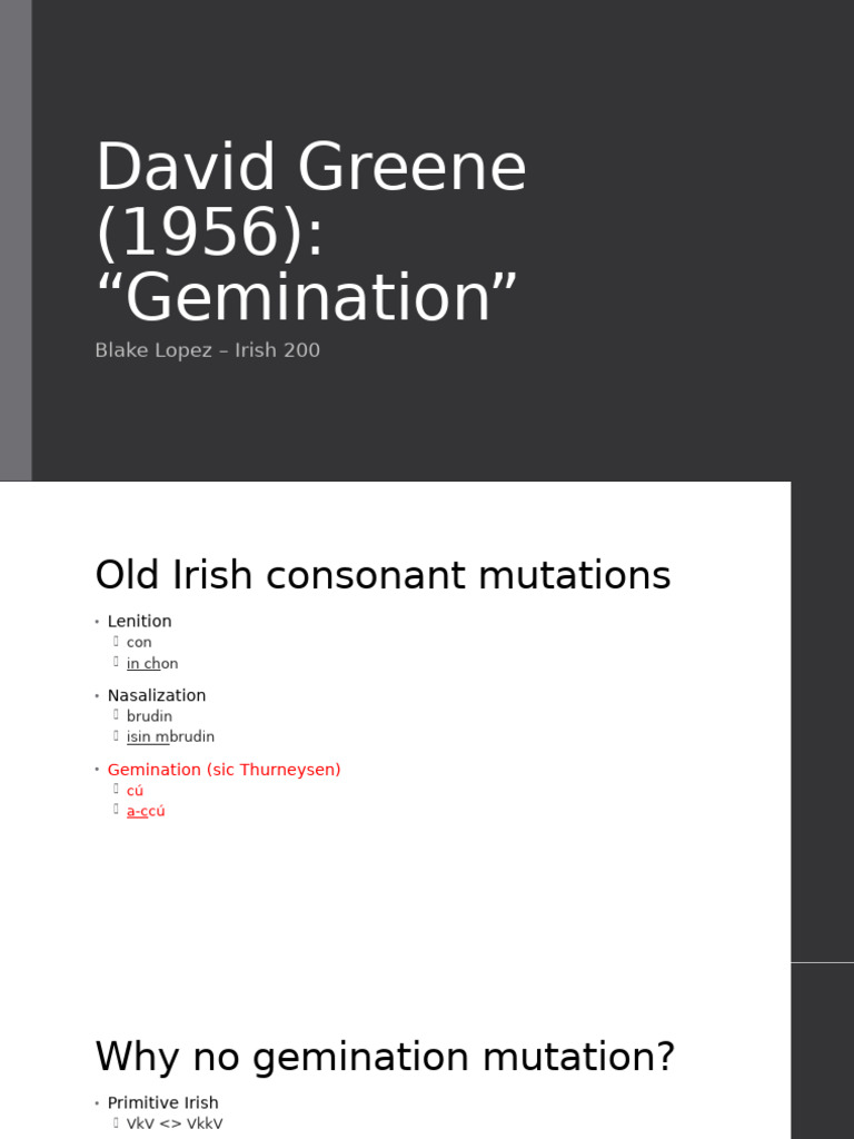 Understanding Irish Gemination Rules | PDF