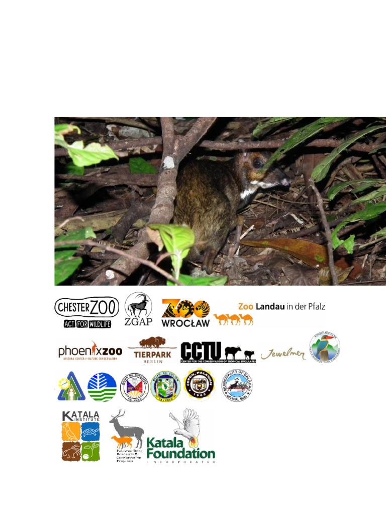 KATALA Foundation Report on Calamian Deer | PDF | Hunting ...