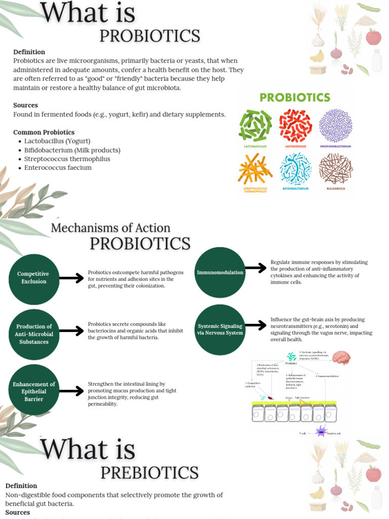 Gd00017 Health Supplements For Digestive Health | PDF ...