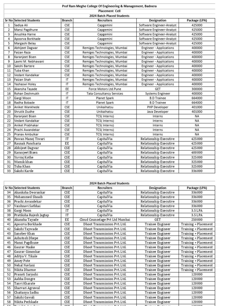 2024 Batch Student Placements Summary | PDF