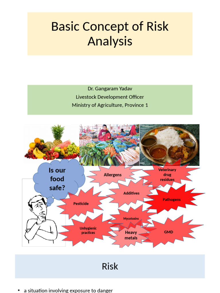 Basic Concept of Risk Analysis | PDF | Risk | Hazards